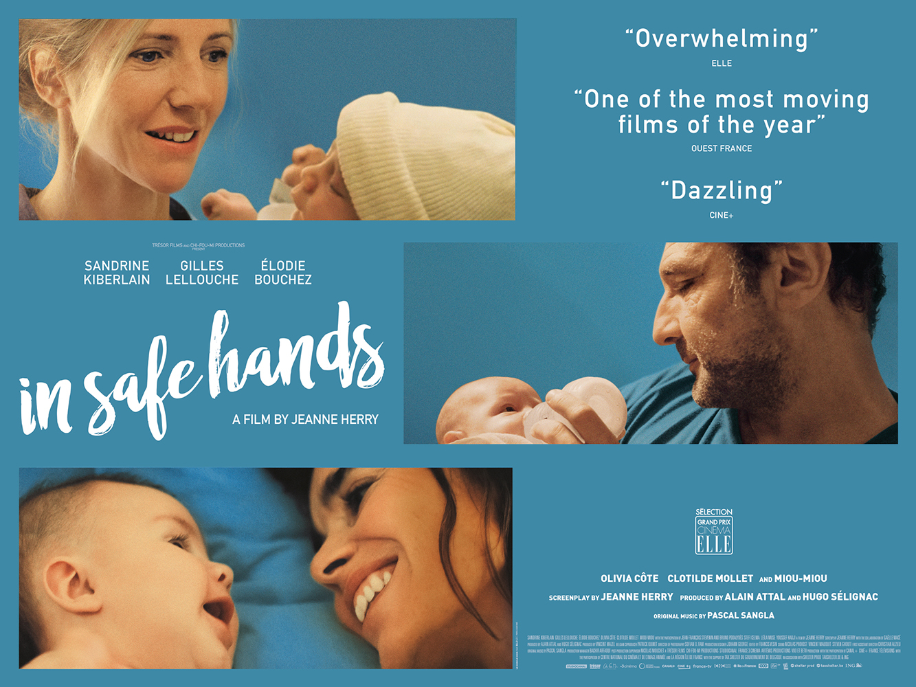 Film Review: In Safe Hands - "an emotional masterpiece" | Plymouth Arts ...