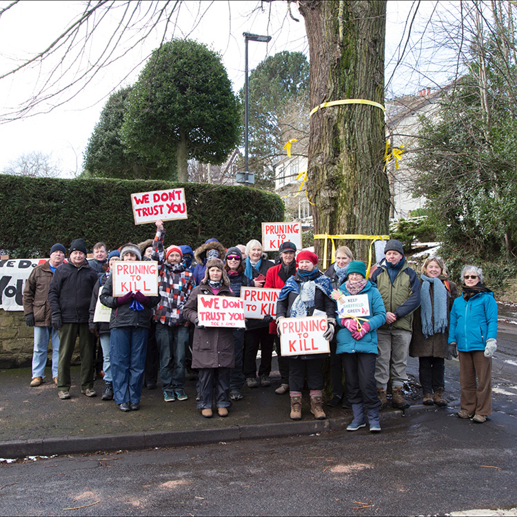 The Felling (12A) | Plymouth Arts Cinema | Independent Cinema for ...