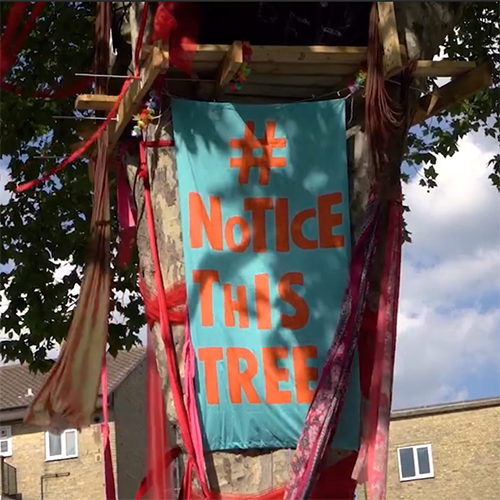 Notice This Tree + The Happy Man Tree (12A) - Urban Tree Festival ...