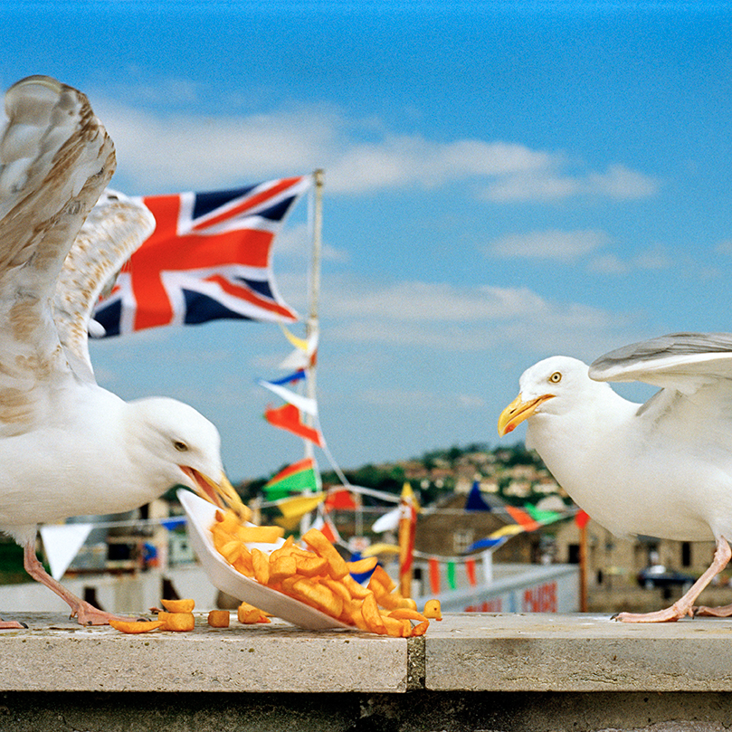 I Am Martin Parr (12A) | Plymouth Arts Cinema | Independent Cinema for ...