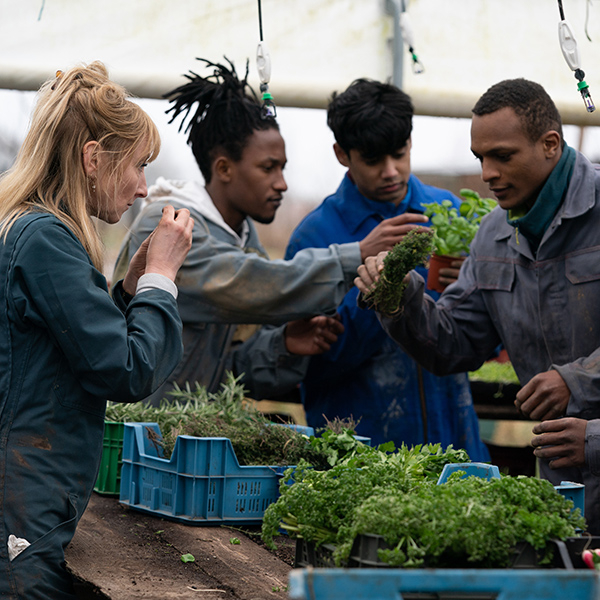 The Kitchen Brigade (12A) | Plymouth Arts Cinema | Independent Cinema ...