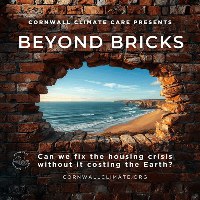 Beyond Bricks + Panel Q&A | Plymouth Arts Cinema | Independent Cinema for Everyone | located at ...